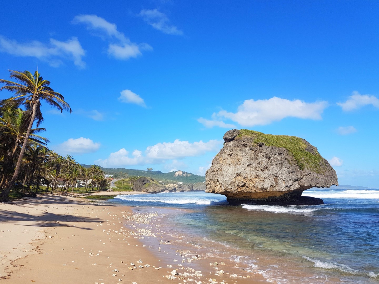 Sweet Life Secrets - Unveiling the Treasures of Barbados Island